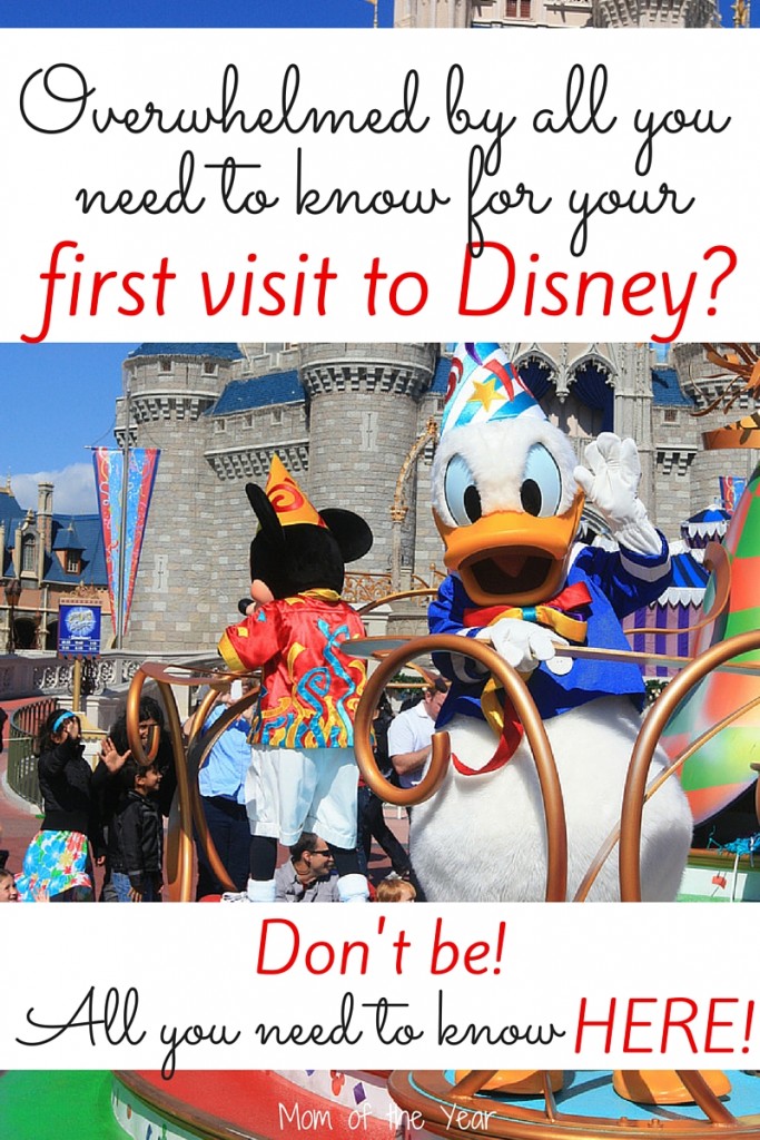 First Time Visiting Disney World? You CAN Do This! - The Mom of the Year