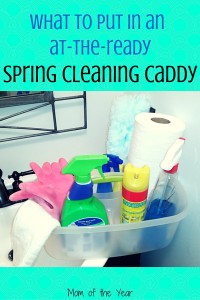 Spring Cleaning for the Busy Mom