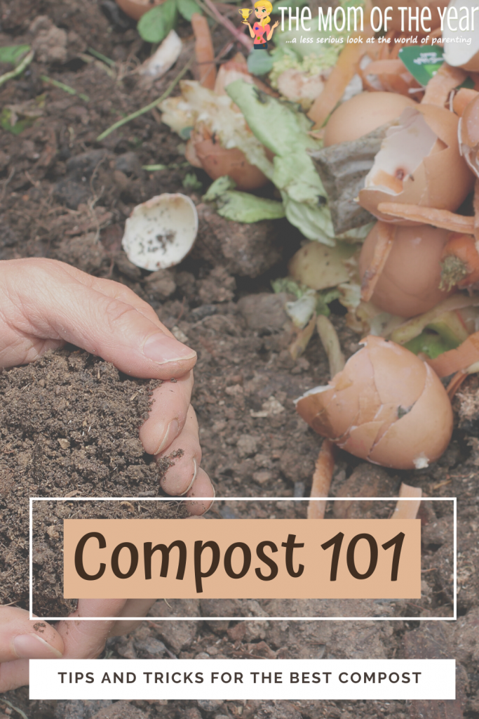 Composting 101: How to Start Your Own Compost Pile - The Mom of the Year
