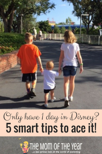 5 Must-Know Tips to Tackle Disney in a Day - The Mom of the Year