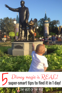 5 Must-Know Tips to Tackle Disney in a Day - The Mom of the Year