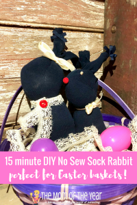 15 Minute DIY No Sew Sock Rabbit - The Mom of the Year