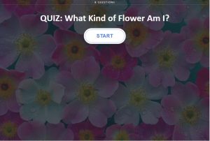 Channel Your Inner Flower Child with this Fun Quiz: What Type of Flower ...