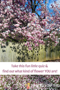Channel Your Inner Flower Child with this Fun Quiz: What Type of Flower ...