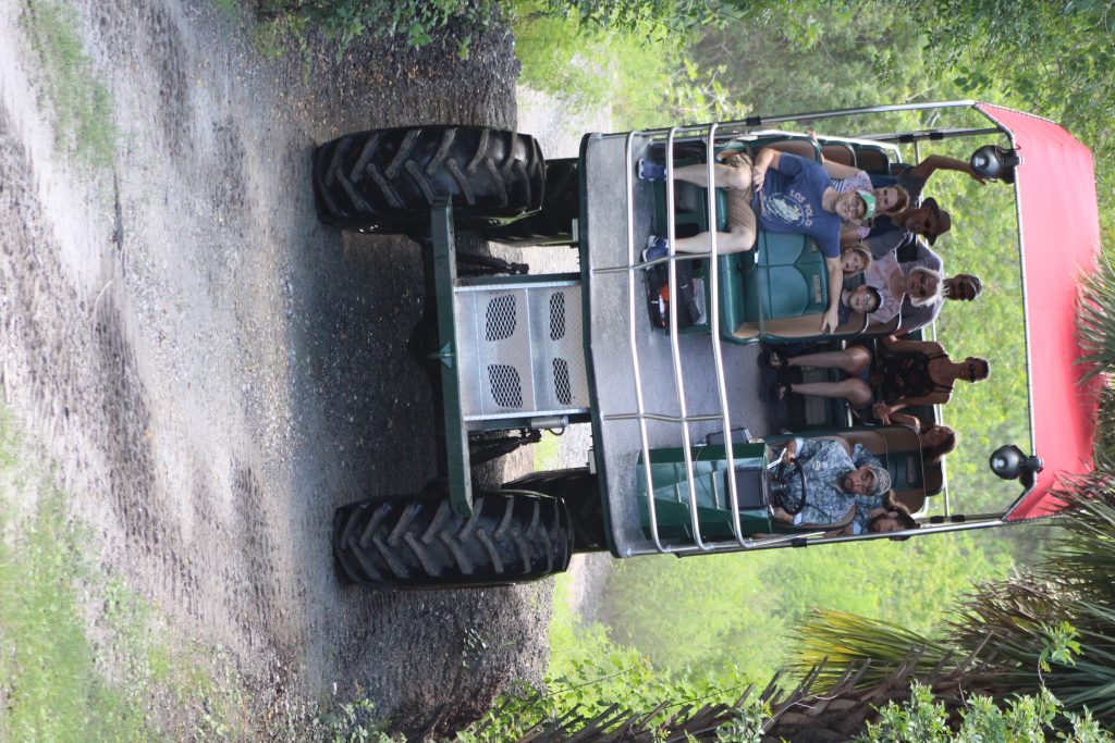 Stompin' Gator Off-Road Adventure - The Mom of the Year