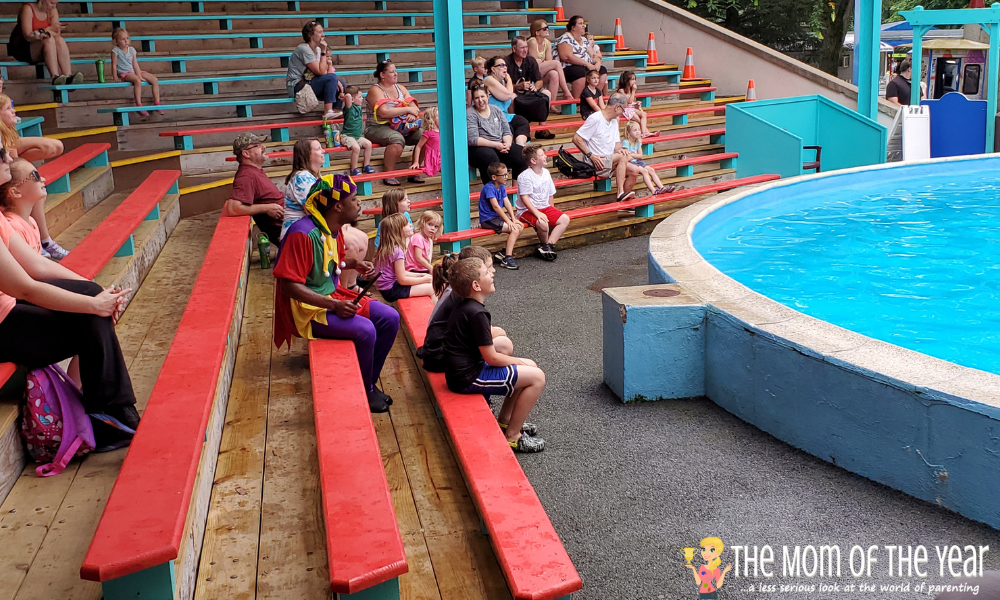 Diving Show - The Mom of the Year