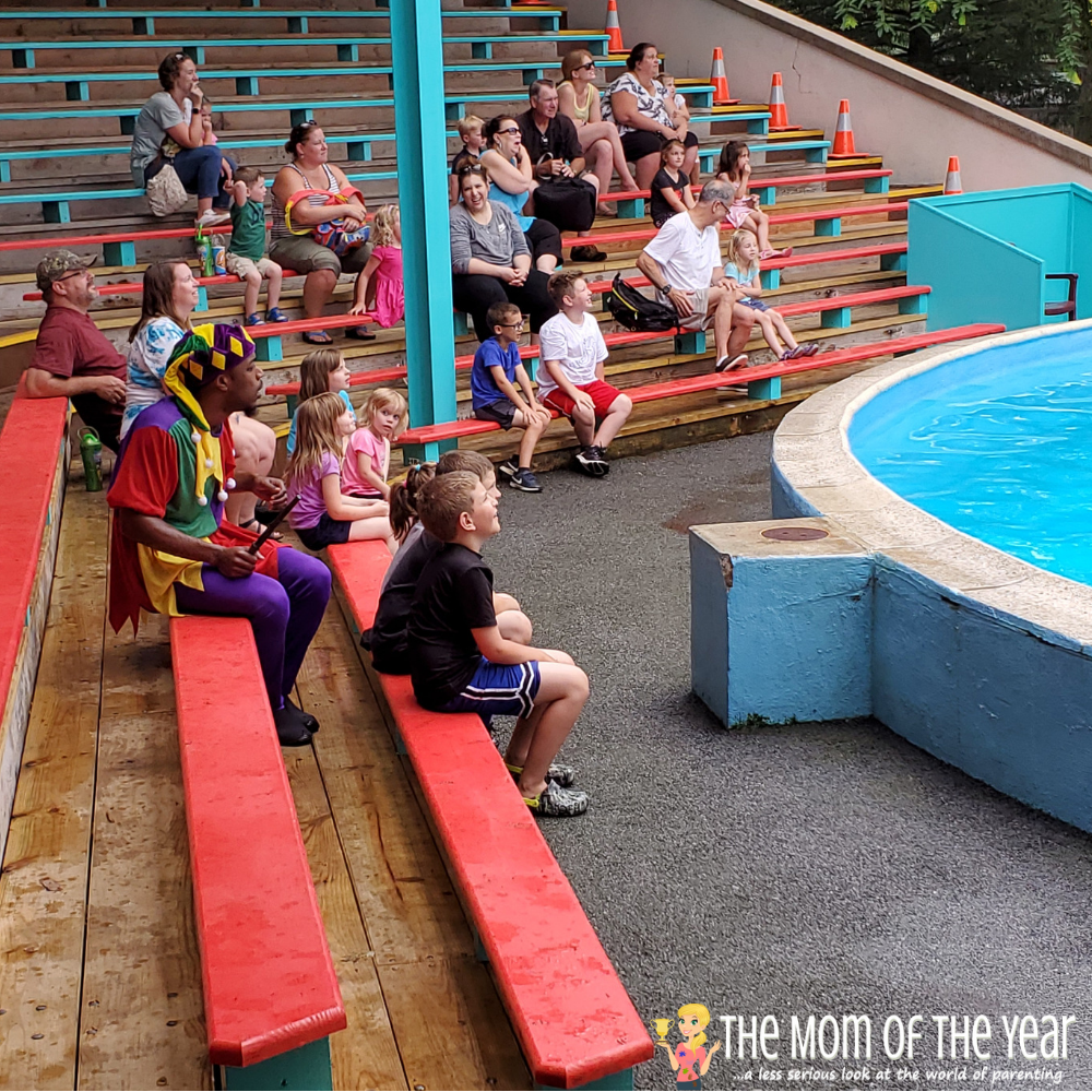 10 Cool Dutch Wonderland Attractions for Older Kids - The Mom of the Year