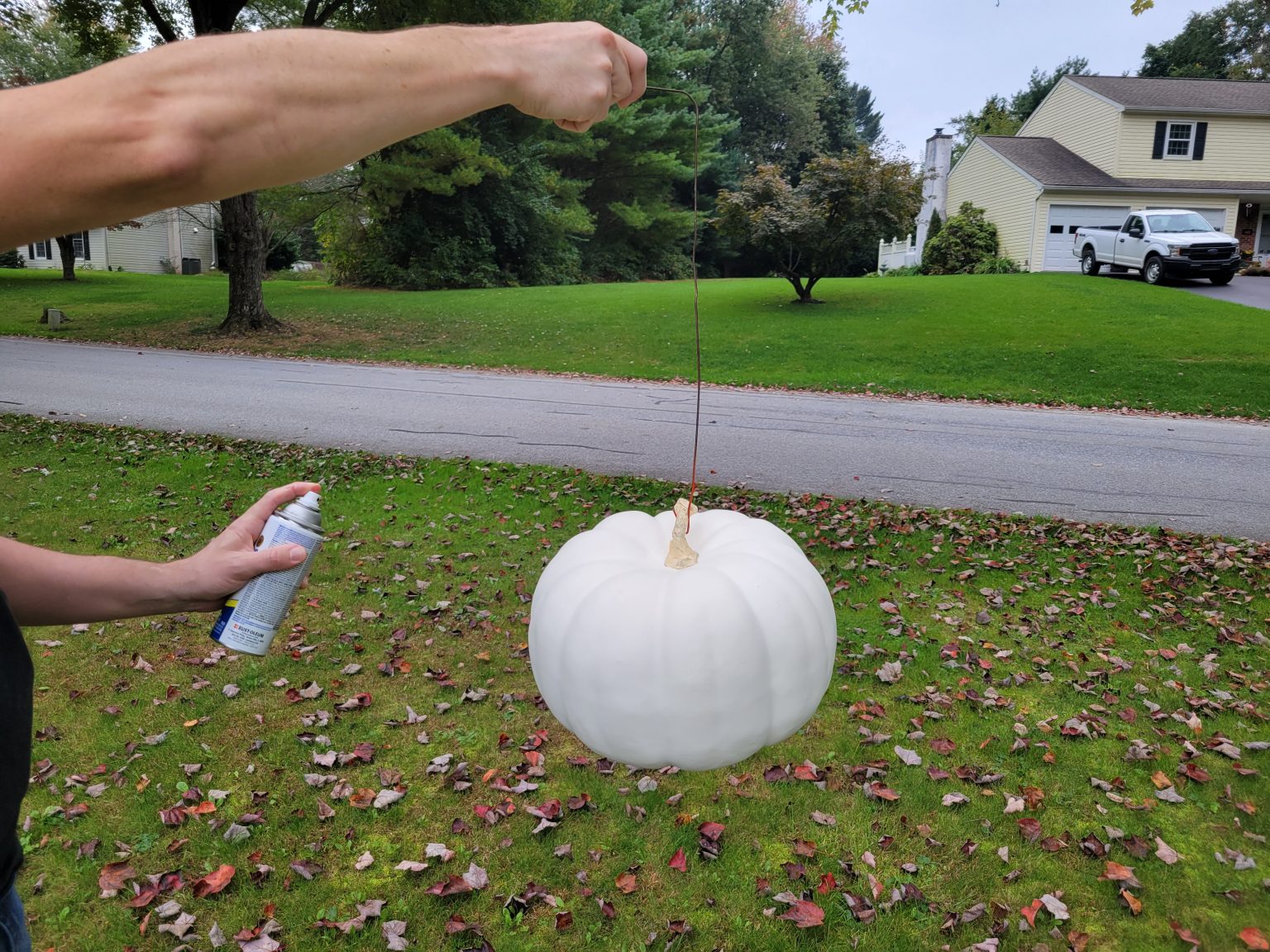 Blue Pumpkins for Autism Awareness - The Mom of the Year