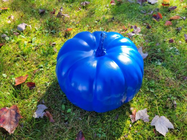 Blue Pumpkins for Autism Awareness - The Mom of the Year