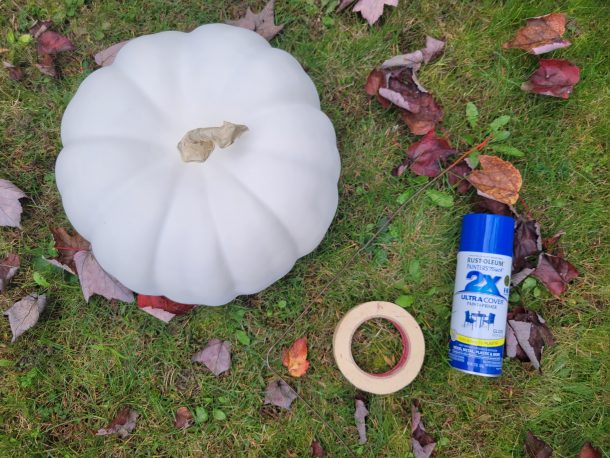 Blue Pumpkins for Autism Awareness - The Mom of the Year