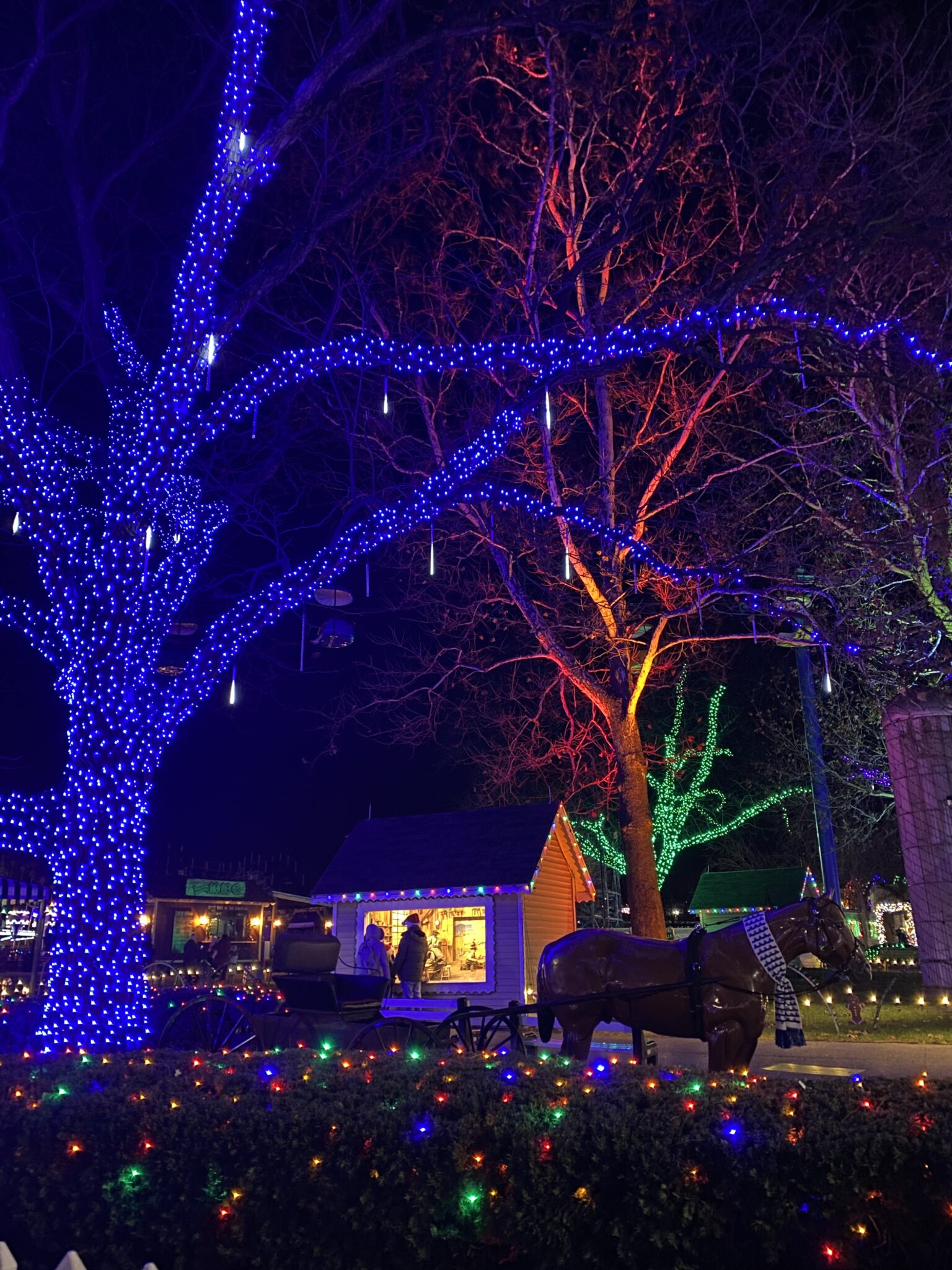 Tips for Visiting Dutch Winter Wonderland in December - The Mom of the Year